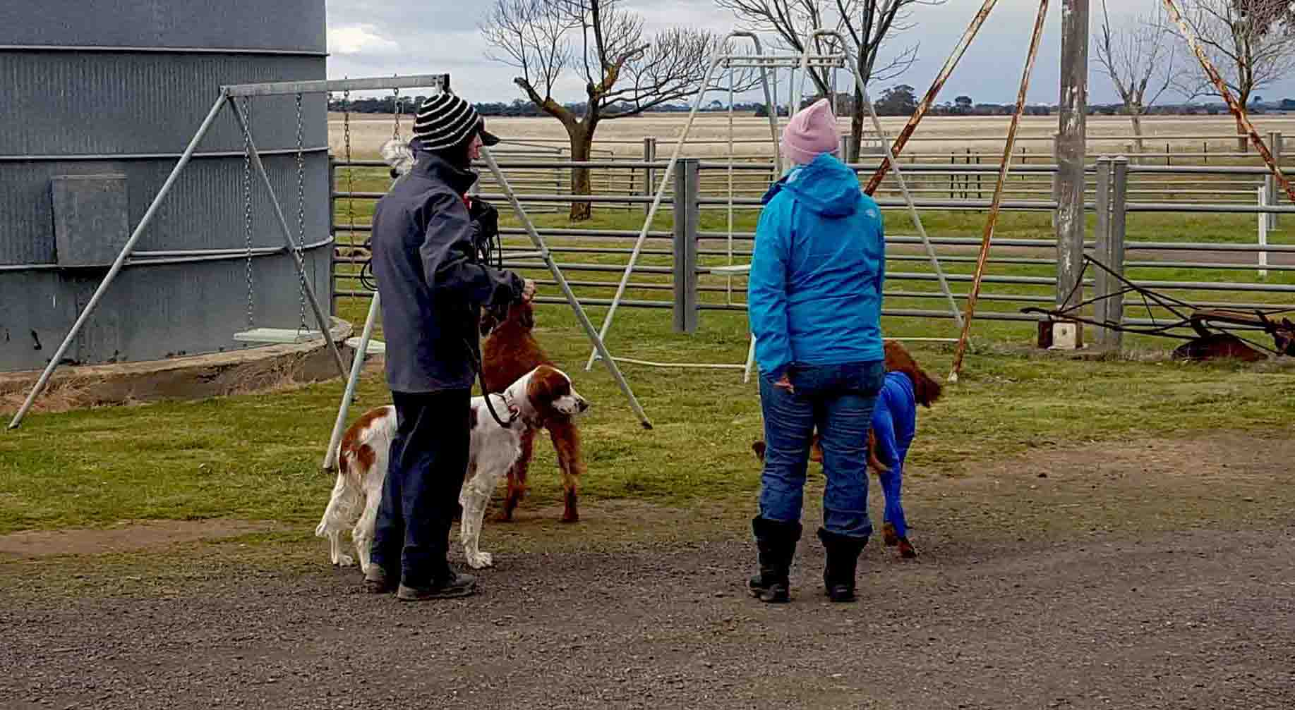 GSCV Field Training Fun Day 2019 – Gordon Setter Club of Victoria