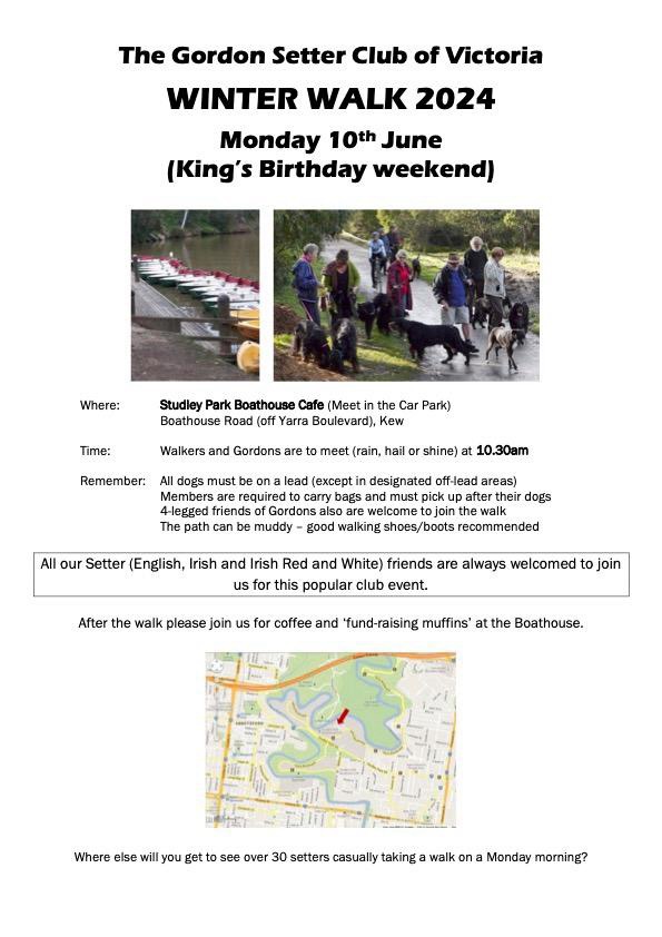 GSCV Annual Winter Walk 2024 – Gordon Setter Club of Victoria